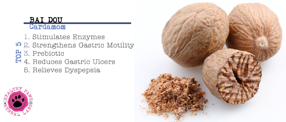 Liquid Supplement for Dog Appetite Stimulant & Digestion - Healthy Paws Herbal Labs