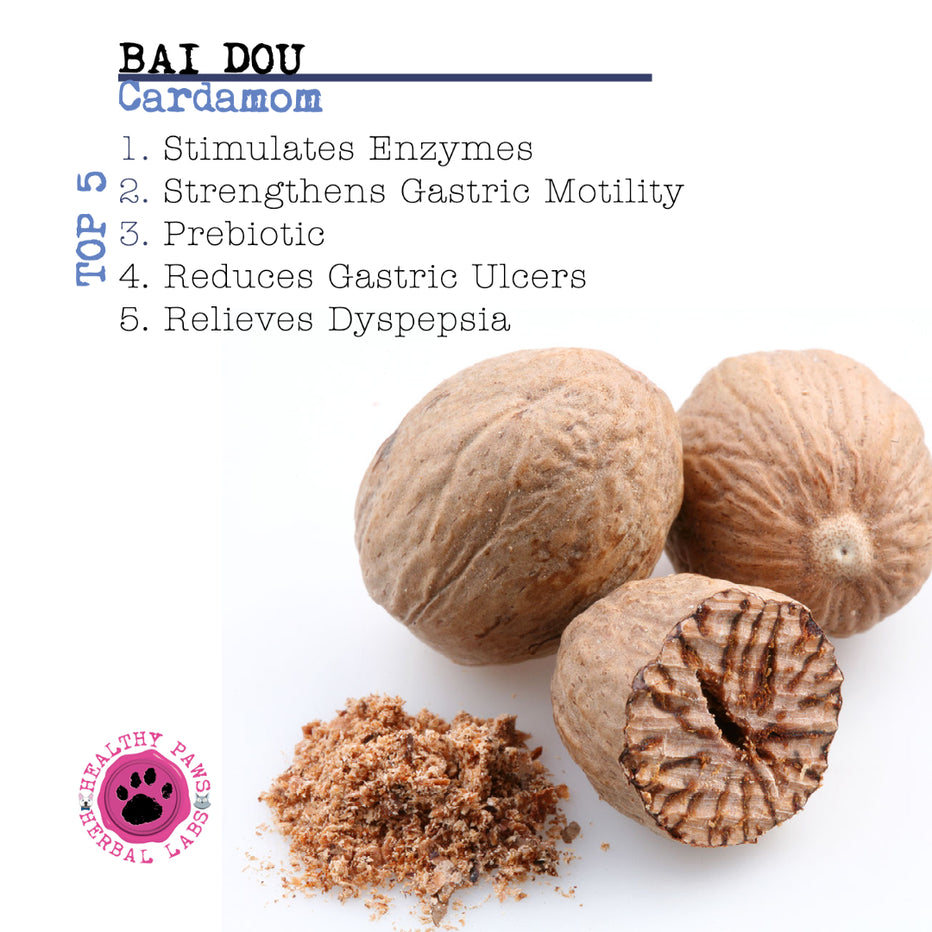 Liquid Supplement for Dog Appetite Stimulant & Digestion - Healthy Paws Herbal Labs