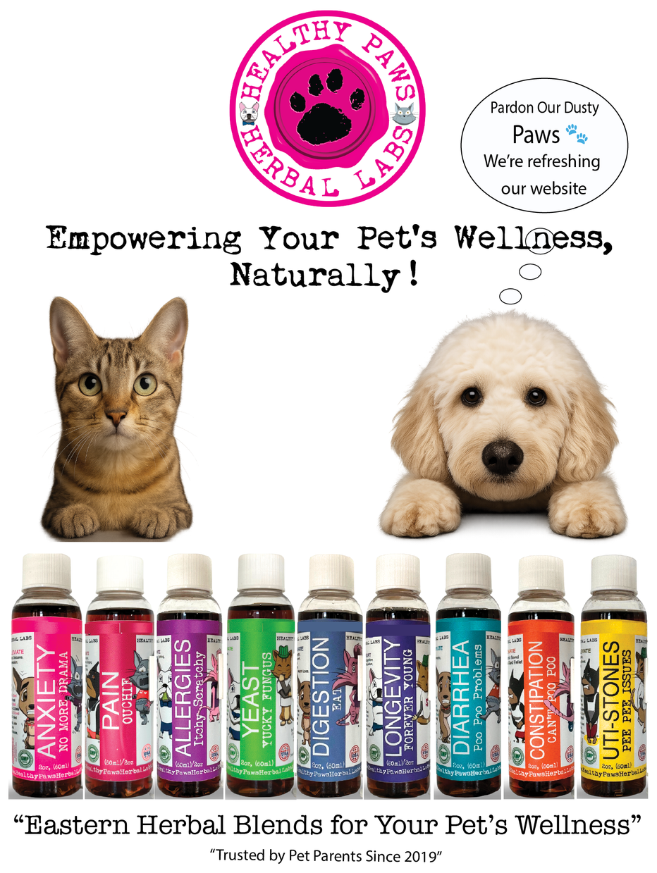 Compounded Holistic Formulas for Pets – Healthy Paws Herbal Labs