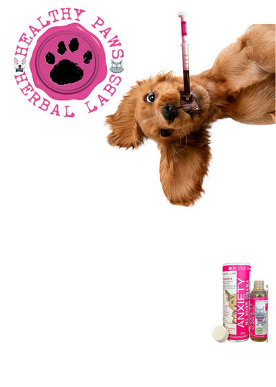 Compounded Holistic Formulas for Pets – Healthy Paws Herbal Labs