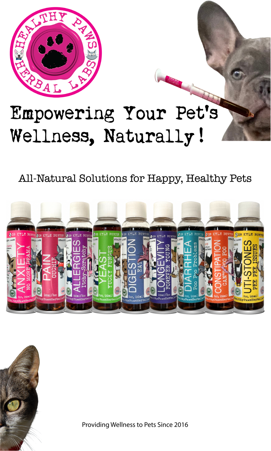 Compounded Holistic Formulas for Pets – Healthy Paws Herbal Labs
