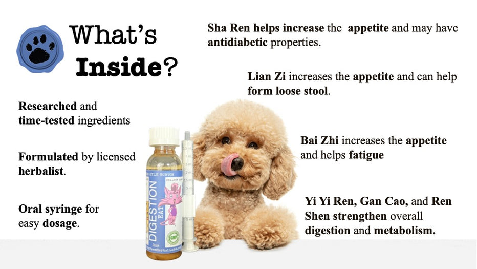 Liquid Supplement for Dog Appetite Stimulant & Digestion - Healthy Paws ...