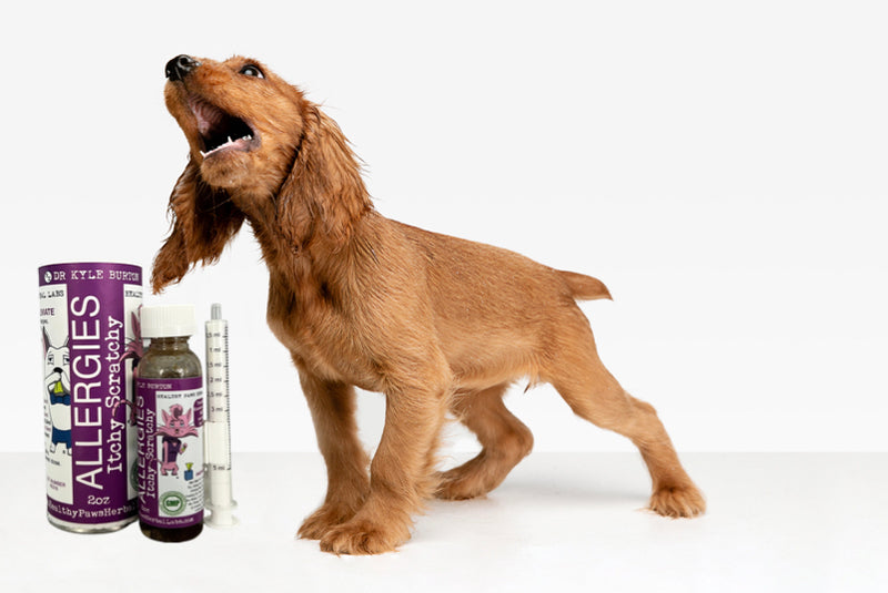 Liquid Dog Vitamins & Supplements - Healthy Paws Herbal Labs