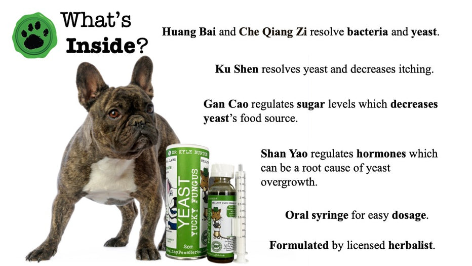 Liquid Supplement for Dog Yeast & Fungus - Healthy Paws Herbal Labs